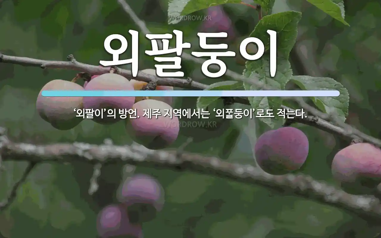외팔둥이 뜻 ‘외팔이의 방언 제주 지역에서는 ‘외uf492둥이로도 적는다