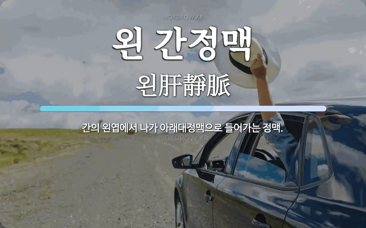 왼 간정맥 뜻 간의 왼엽에서 나가 아래대정맥으로 들어가는 정맥