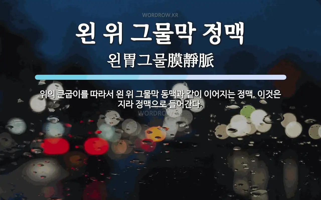 왼 위 그물막 정맥 뜻 위의 큰굽이를 따라서 왼 위 그물막 동맥과 같이 이어지는 정맥 이것은 지라 정맥으로 들어