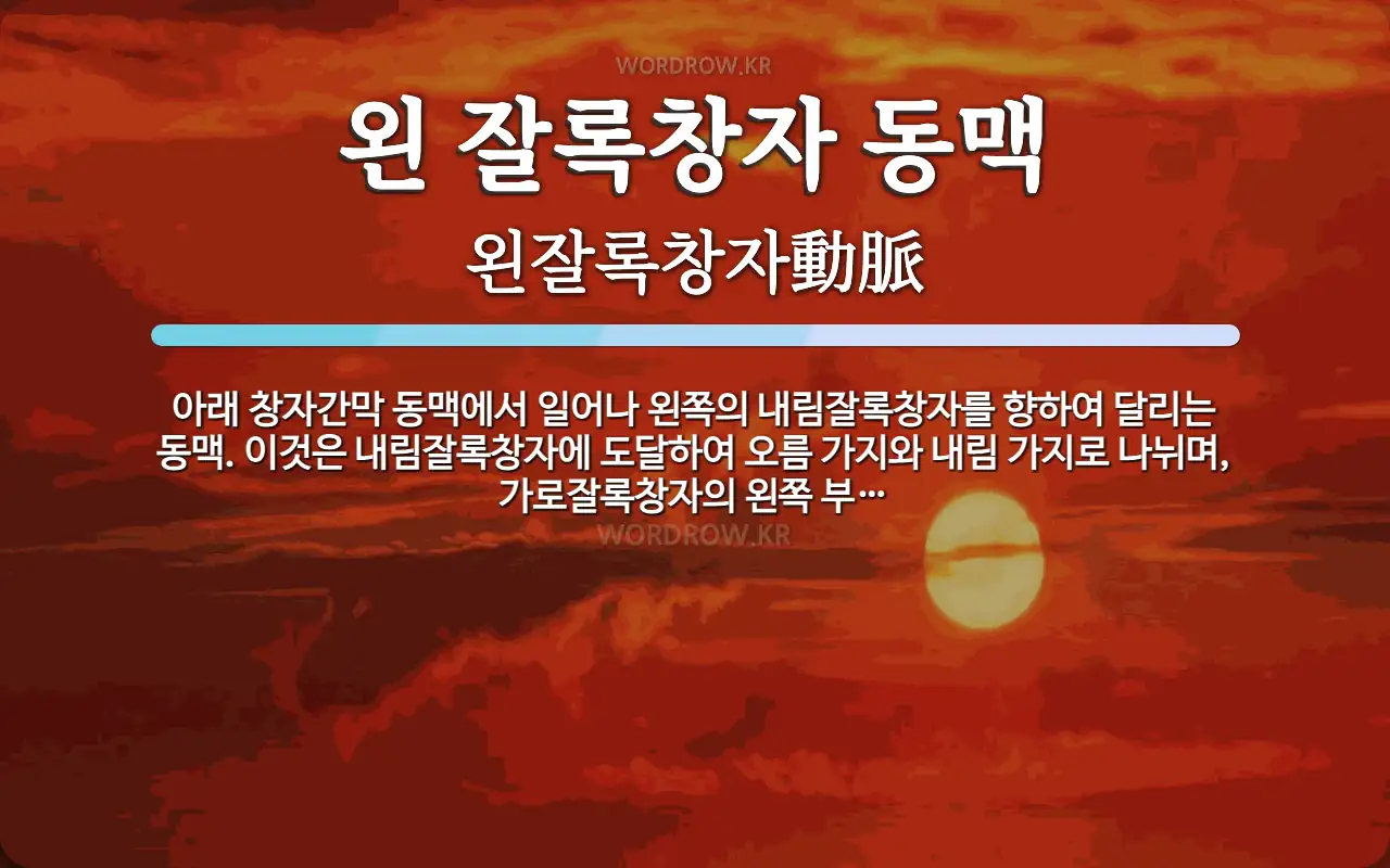 왼 잘록창자 동맥 뜻 아래 창자간막 동맥에서 일어나 왼쪽의 내림잘록창자를 향하여 달리는 동맥 이것은 내림잘록창