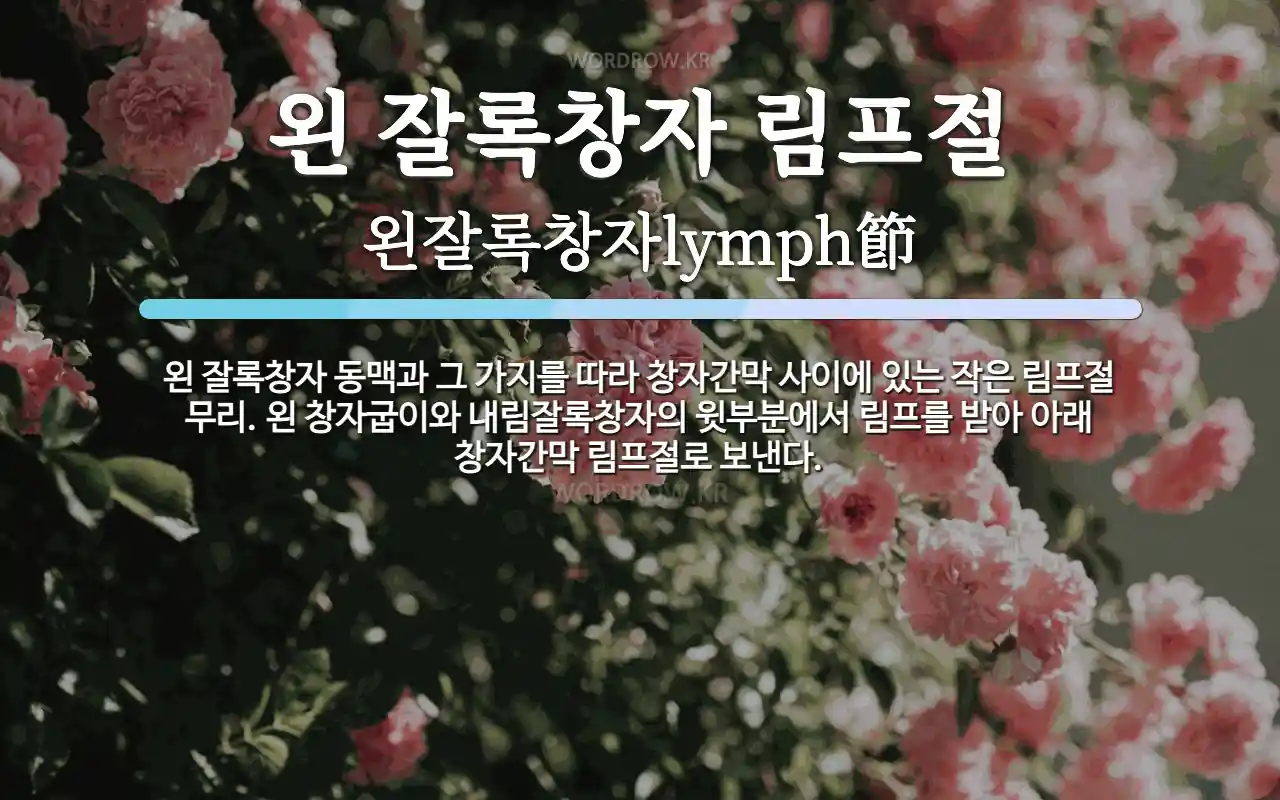 왼 잘록창자 림프절 뜻 왼 잘록창자 동맥과 그 가지를 따라 창자간막 사이에 있는 작은 림프절 무리 왼 창자굽이와