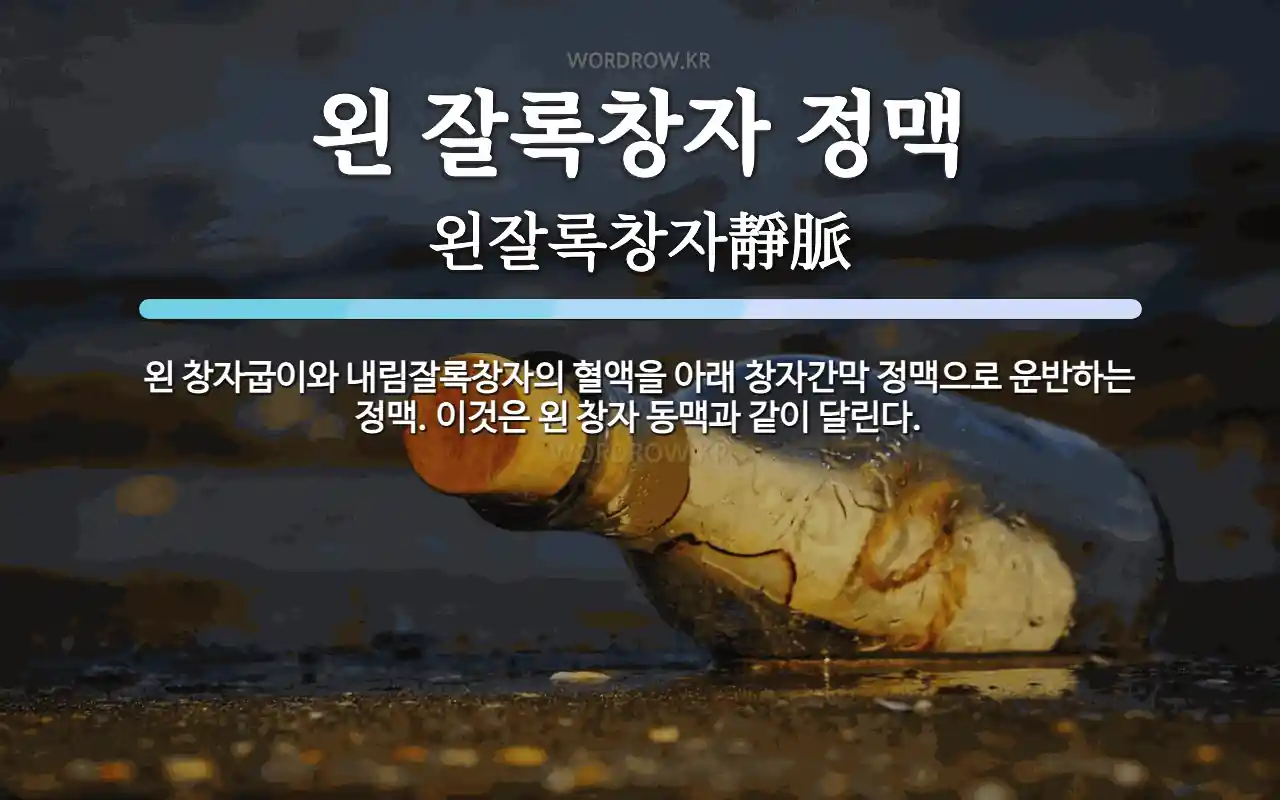 왼 잘록창자 정맥 뜻 왼 창자굽이와 내림잘록창자의 혈액을 아래 창자간막 정맥으로 운반하는 정맥 이것은 왼 창자