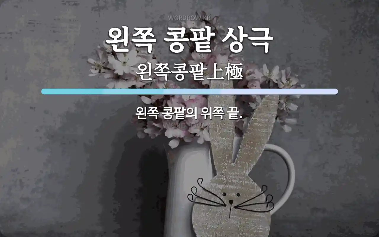 왼쪽 콩팥 상극 뜻 왼쪽 콩팥의 위쪽 끝