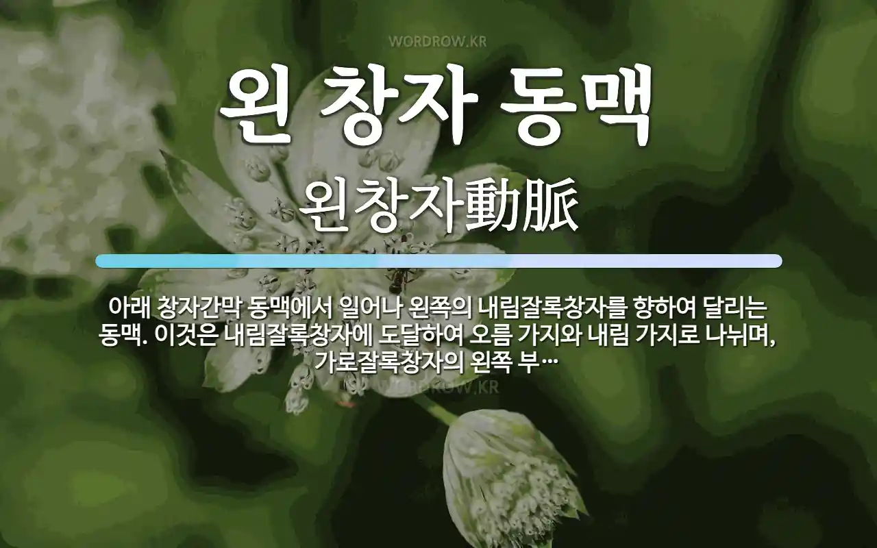 왼 창자 동맥 뜻 아래 창자간막 동맥에서 일어나 왼쪽의 내림잘록창자를 향하여 달리는 동맥 이것은 내림잘록창
