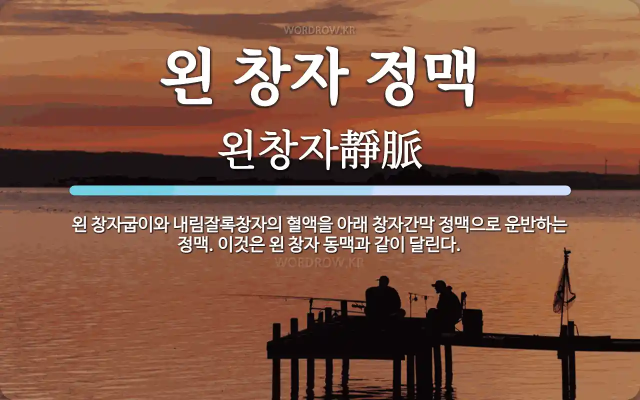 왼 창자 정맥 뜻 왼 창자굽이와 내림잘록창자의 혈액을 아래 창자간막 정맥으로 운반하는 정맥 이것은 왼 창자