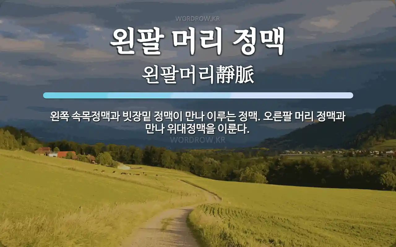 왼팔 머리 정맥 뜻 왼쪽 속목정맥과 빗장밑 정맥이 만나 이루는 정맥 오른팔 머리 정맥과 만나 위대정맥을 이룬