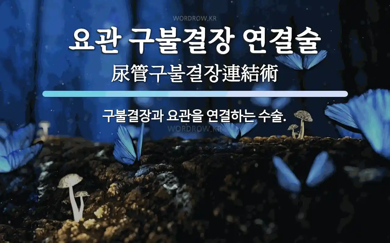 요관 구불결장 연결술 뜻 구불결장과 요관을 연결하는 수술