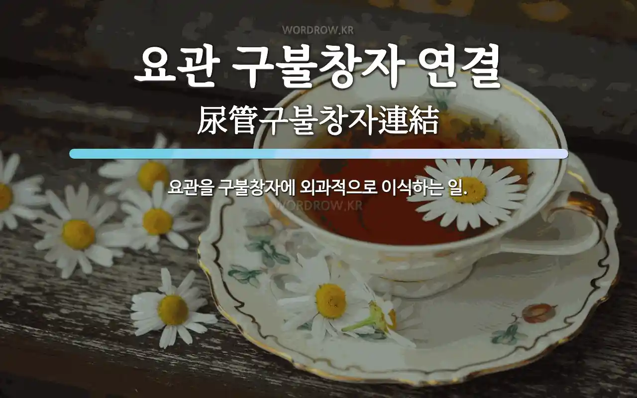 요관 구불창자 연결 뜻 요관을 구불창자에 외과적으로 이식하는 일