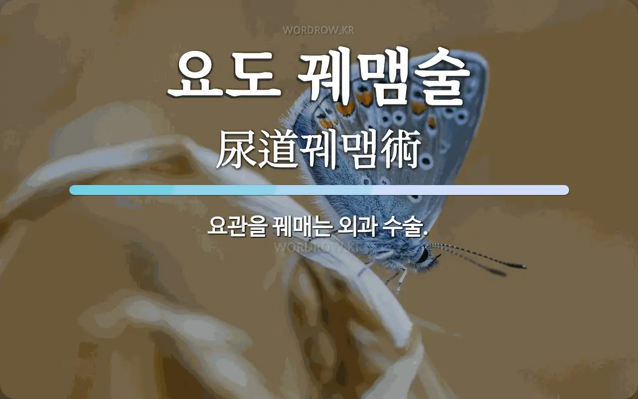 요도 꿰맴술 뜻 요관을 꿰매는 외과 수술