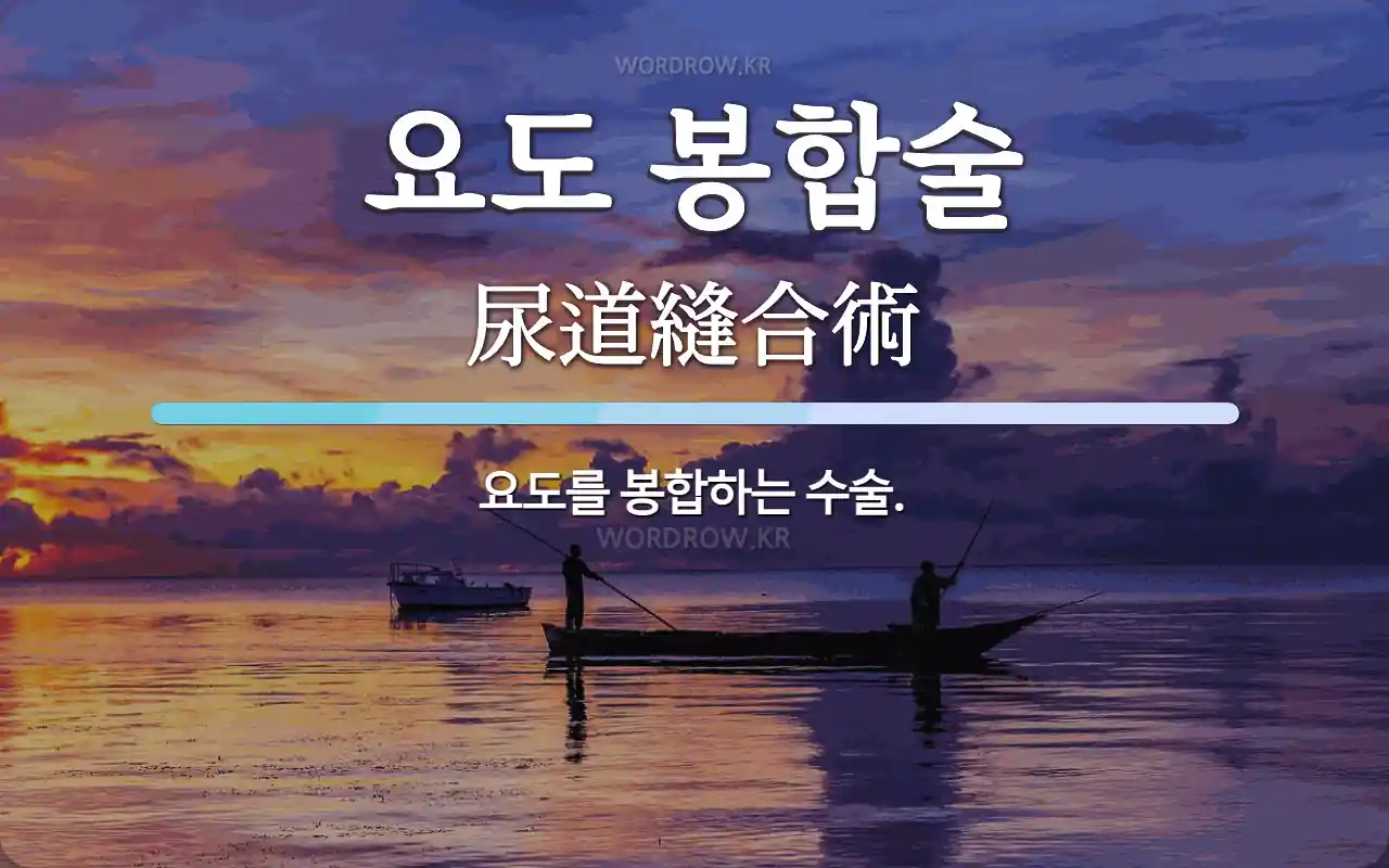 요도 봉합술 뜻 요도를 봉합하는 수술