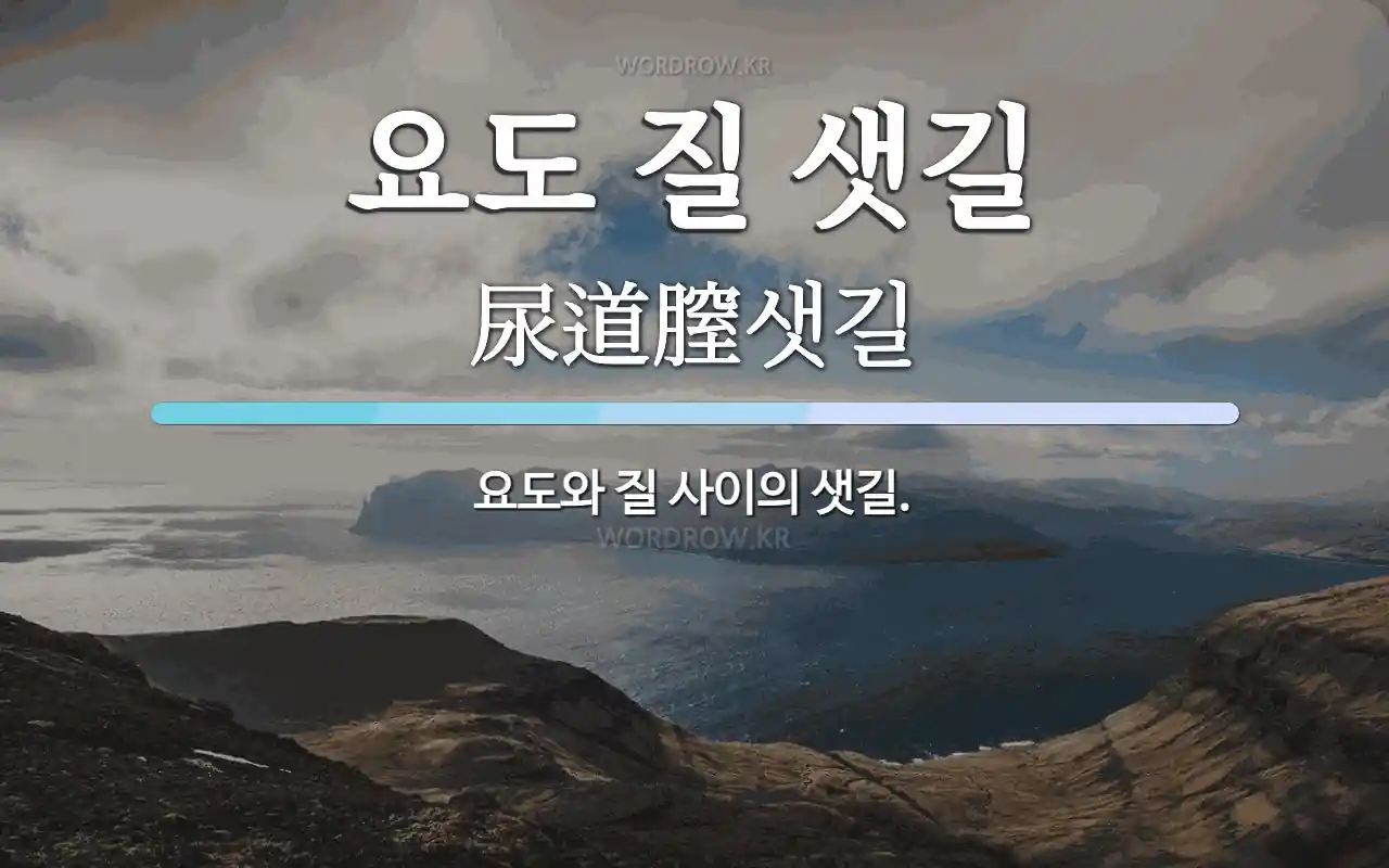 요도 질 샛길 뜻 요도와 질 사이의 샛길