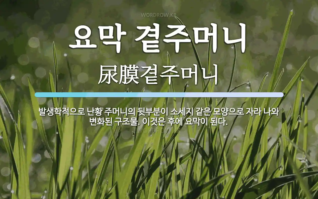 요막 곁주머니 뜻 발생학적으로 난황 주머니의 뒷부분이 소세지 같은 모양으로 자라 나와 변화된 구조물 이것은