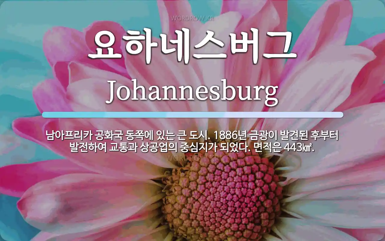 요하네스버그 뜻 남아프리카 공화국 동쪽에 있는 큰 도시 1886년 금광이 발견된 후부터 발전하여 교통과