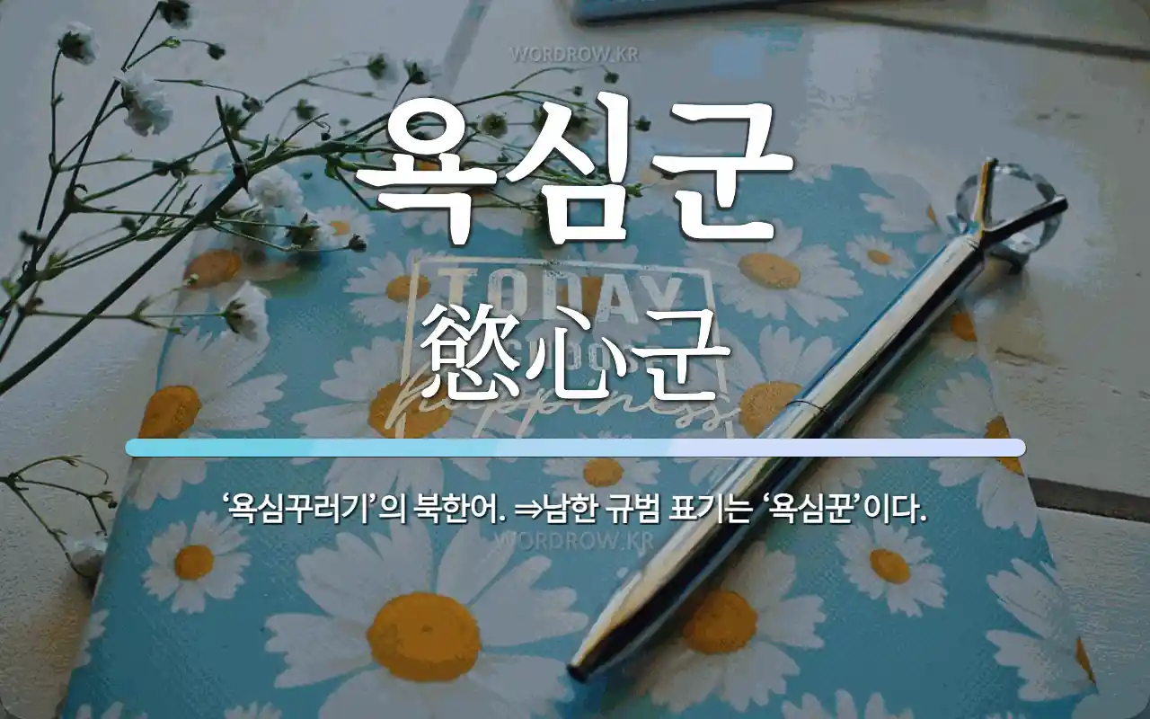 욕심군 뜻 ‘욕심꾸러기의 북한어 ⇒남한 규범 표기는 ‘욕심꾼이다