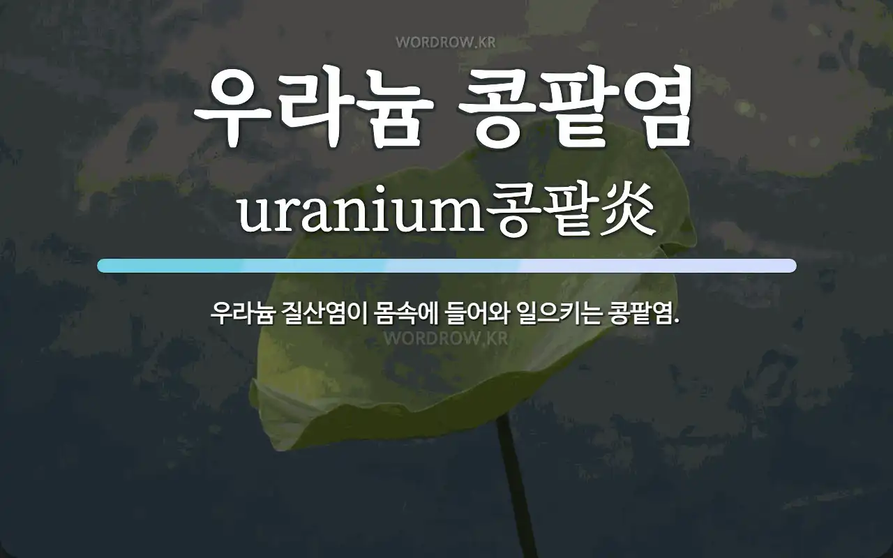 우라늄 콩팥염 뜻 우라늄 질산염이 몸속에 들어와 일으키는 콩팥염