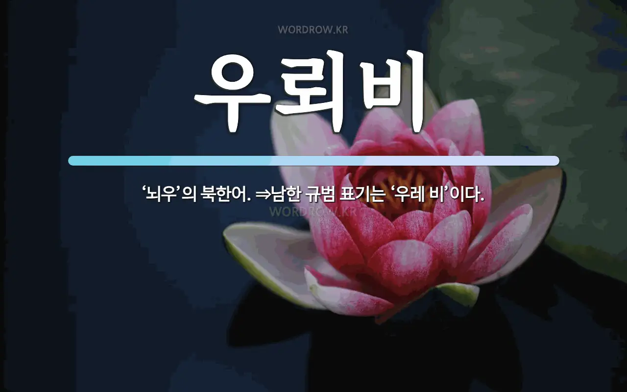 우뢰비 뜻 ‘뇌우의 북한어 ⇒남한 규범 표기는 ‘우레 비이다
