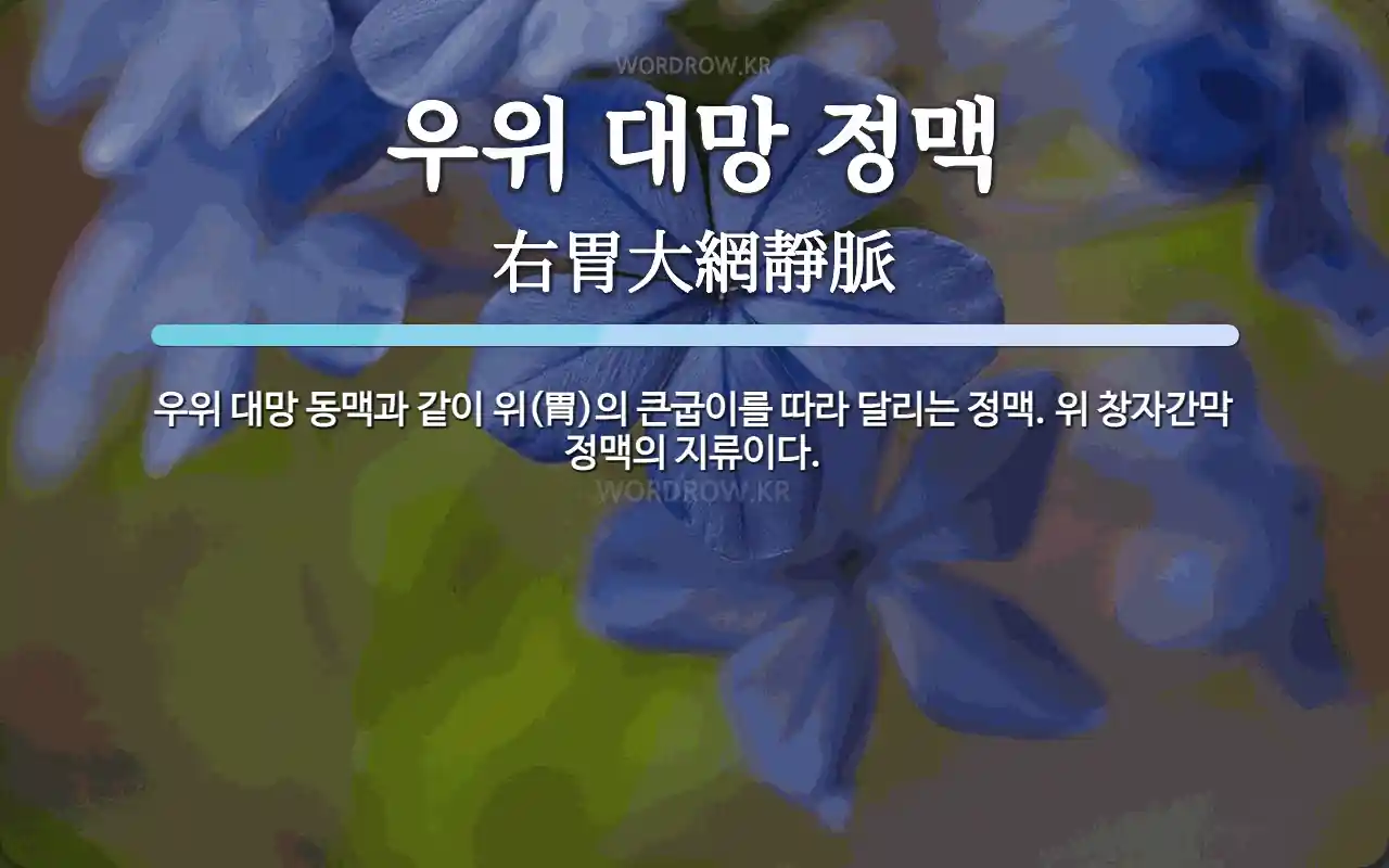 우위 대망 정맥 뜻 우위 대망 동맥과 같이 위胃의 큰굽이를 따라 달리는 정맥 위 창자간막 정맥의 지류이다