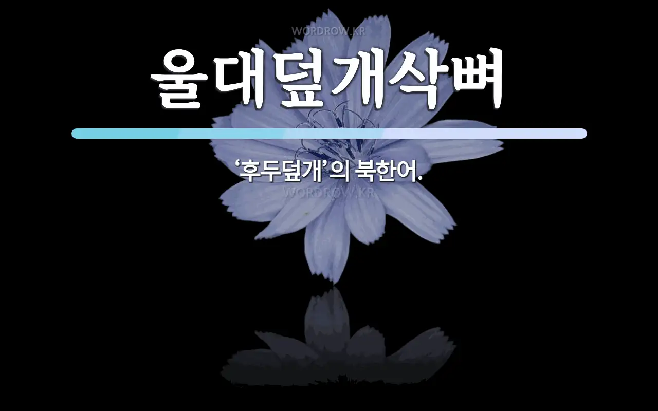 울대덮개삭뼈 뜻 ‘후두덮개의 북한어