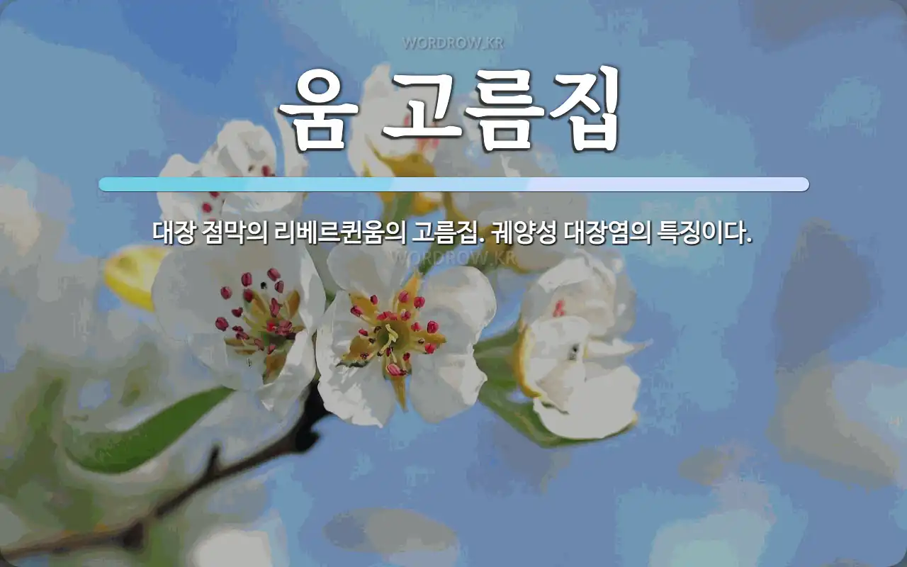 움 고름집 뜻 대장 점막의 리베르퀸움의 고름집 궤양성 대장염의 특징이다