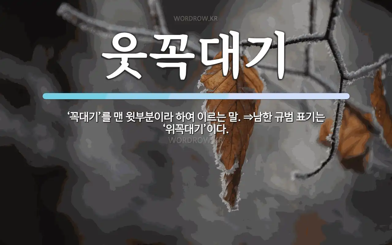 웃꼭대기 뜻 ‘꼭대기를 맨 윗부분이라 하여 이르는 말 ⇒남한 규범 표기는 ‘위꼭대기이다