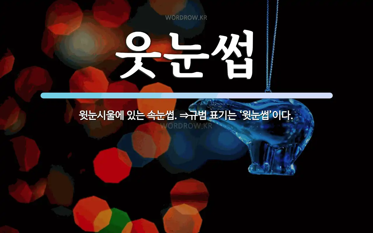 웃눈썹 뜻 윗눈시울에 있는 속눈썹 ⇒규범 표기는 ‘윗눈썹이다