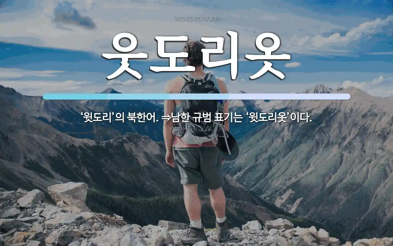 웃도리옷 뜻 ‘윗도리의 북한어 ⇒남한 규범 표기는 ‘윗도리옷이다