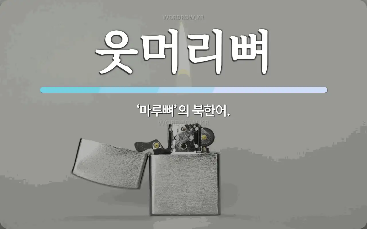 웃머리뼈 뜻 ‘마루뼈의 북한어