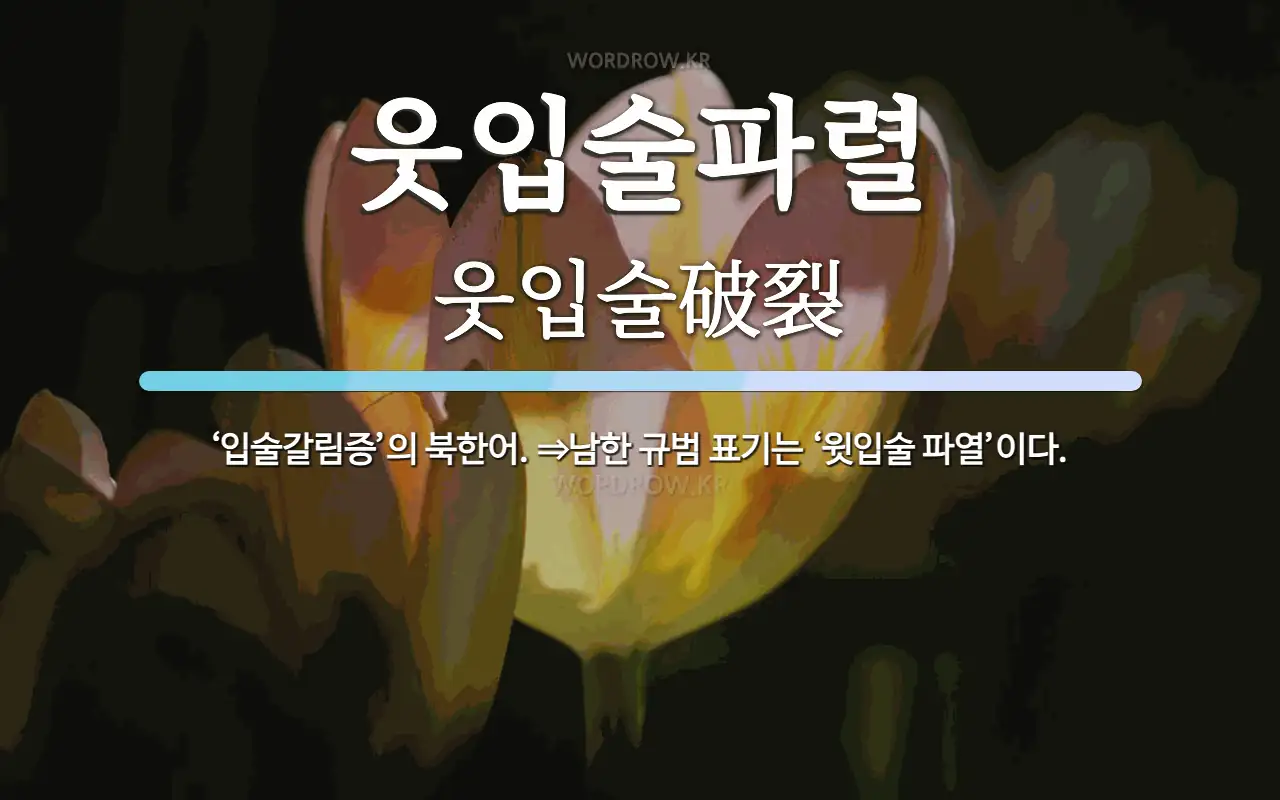 웃입술파렬 뜻 ‘입술갈림증의 북한어 ⇒남한 규범 표기는 ‘윗입술 파열이다