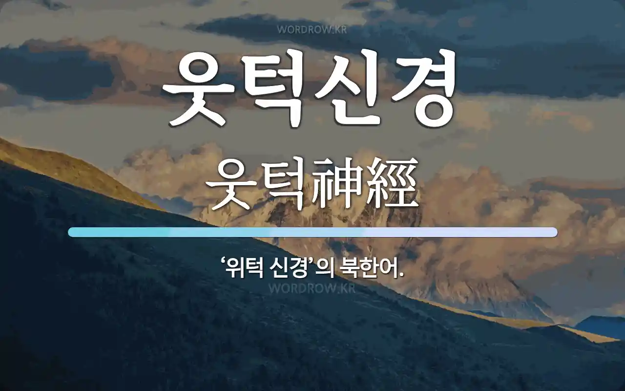 웃턱신경 뜻 ‘위턱 신경의 북한어