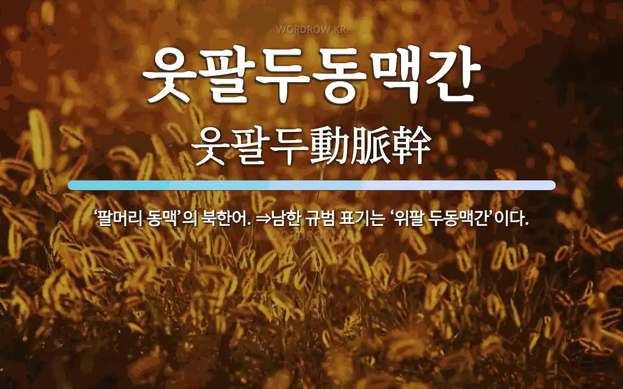 웃팔두동맥간 뜻 ‘팔머리 동맥의 북한어 ⇒남한 규범 표기는 ‘위팔 두동맥간이다