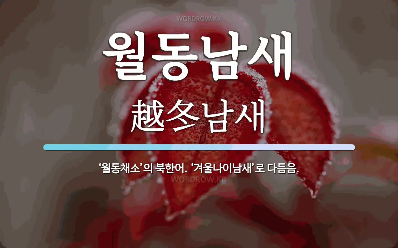 월동남새 뜻 ‘월동채소의 북한어 ‘겨울나이남새로 다듬음