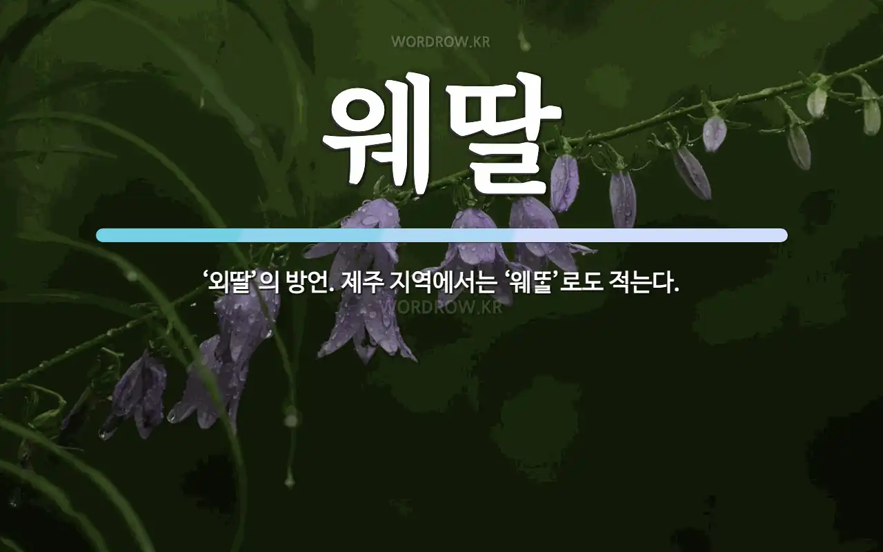 웨딸 뜻 ‘외딸의 방언 제주 지역에서는 ‘웨ue3e8로도 적는다