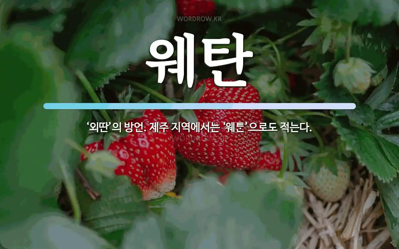 웨탄 뜻 ‘외딴의 방언 제주 지역에서는 ‘웨uf43e으로도 적는다