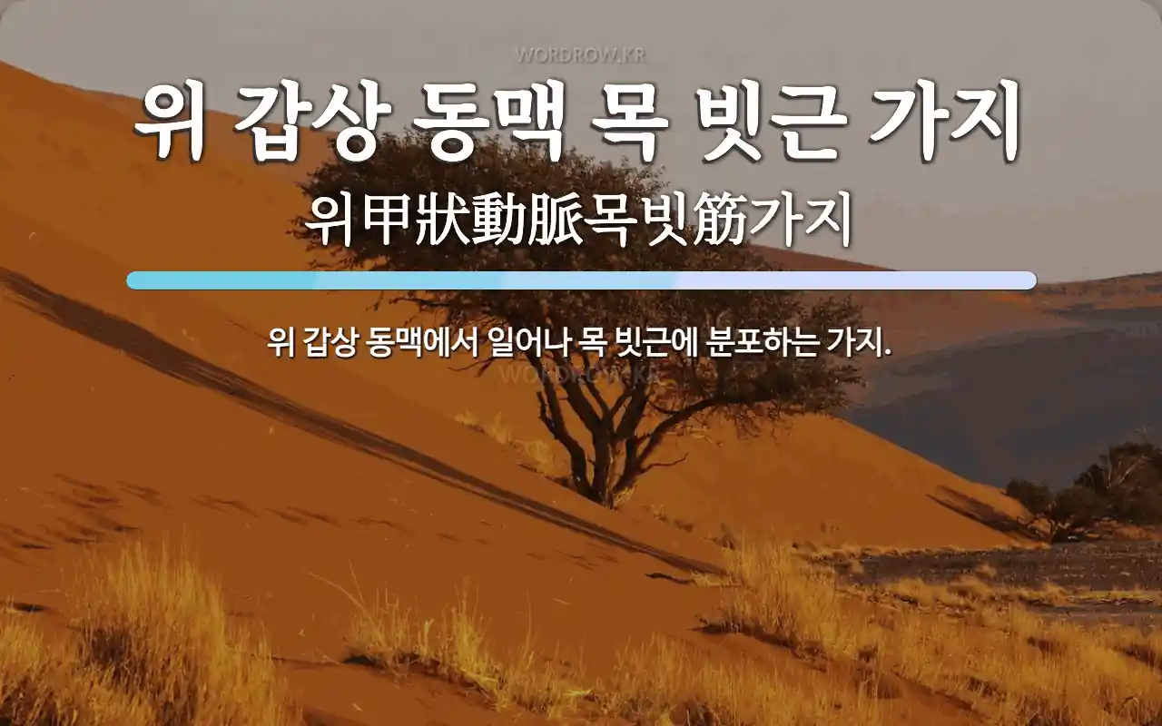 위 갑상 동맥 목 빗근 가지 뜻 위 갑상 동맥에서 일어나 목 빗근에 분포하는 가지