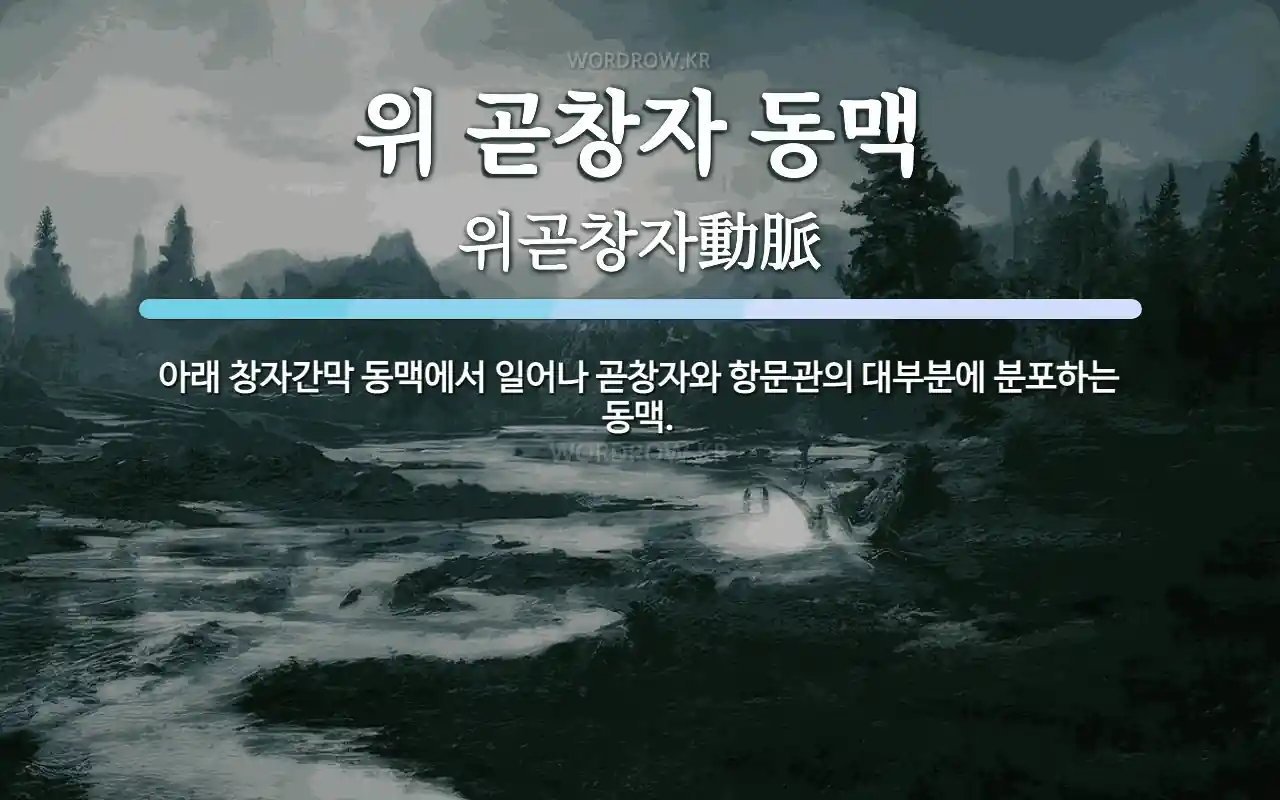 위 곧창자 동맥 뜻 아래 창자간막 동맥에서 일어나 곧창자와 항문관의 대부분에 분포하는 동맥