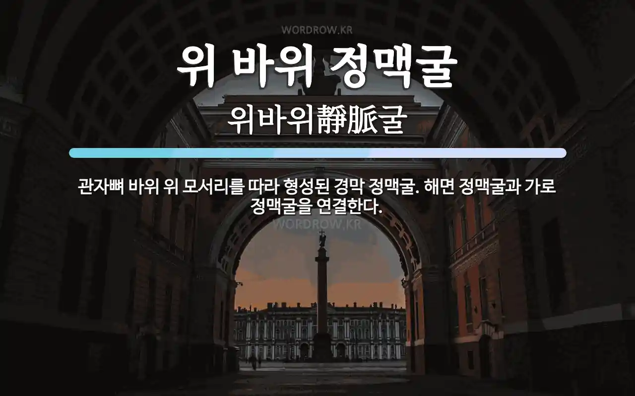 위 바위 정맥굴 뜻 관자뼈 바위 위 모서리를 따라 형성된 경막 정맥굴 해면 정맥굴과 가로 정맥굴을 연결한다