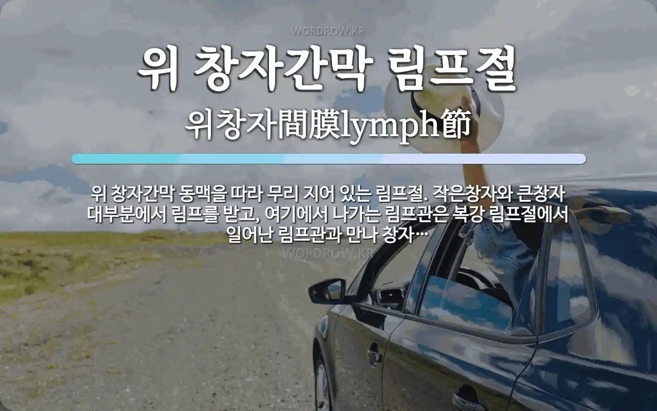 위 창자간막 림프절 뜻 위 창자간막 동맥을 따라 무리 지어 있는 림프절 작은창자와 큰창자 대부분에서 림프를 받고