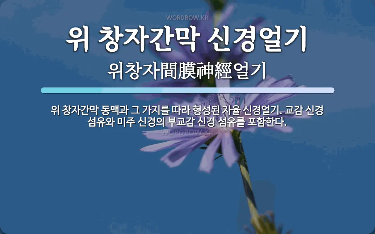 위 창자간막 신경얼기 뜻 위 창자간막 동맥과 그 가지를 따라 형성된 자율 신경얼기 교감 신경 섬유와 미주 신경의