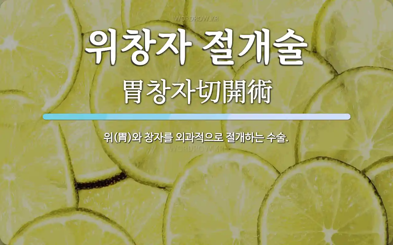 위창자 절개술 뜻 위胃와 창자를 외과적으로 절개하는 수술