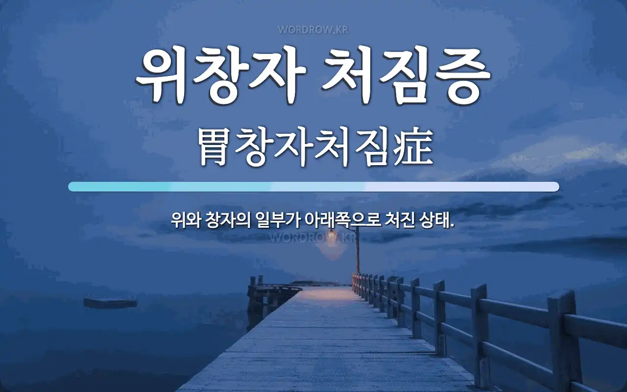 위창자 처짐증 뜻 위와 창자의 일부가 아래쪽으로 처진 상태