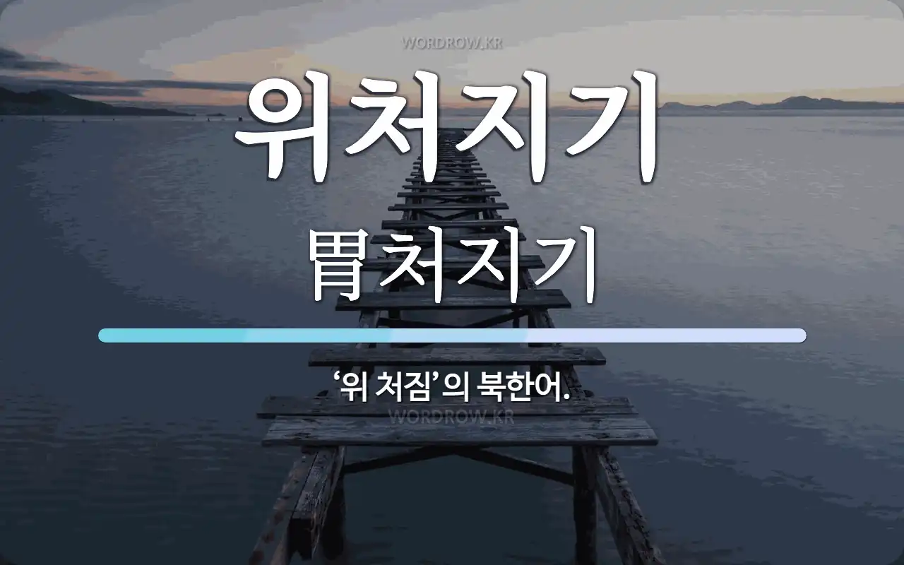 위처지기 뜻 ‘위 처짐의 북한어