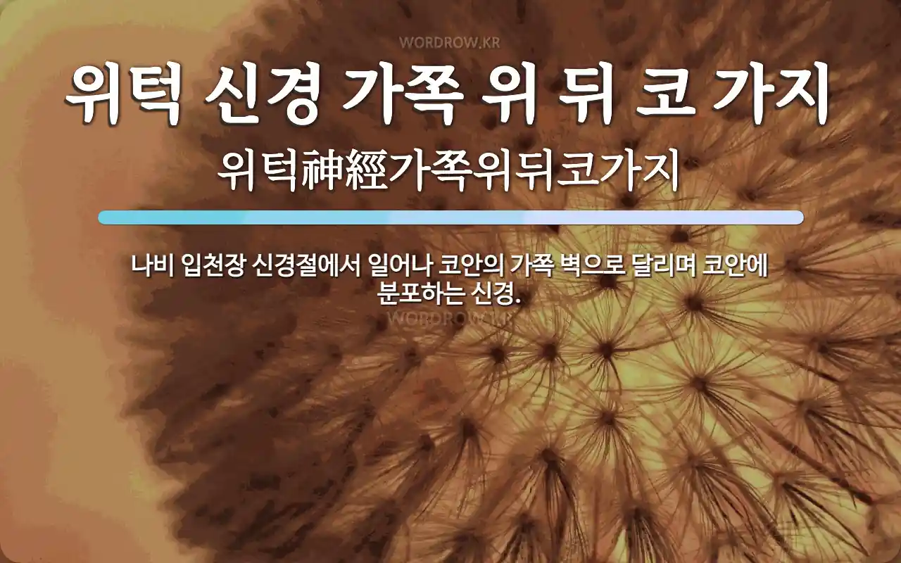 위턱 신경 가쪽 위 뒤 코 가지 뜻 나비 입천장 신경절에서 일어나 코안의 가쪽 벽으로 달리며 코안에 분포하는 신경