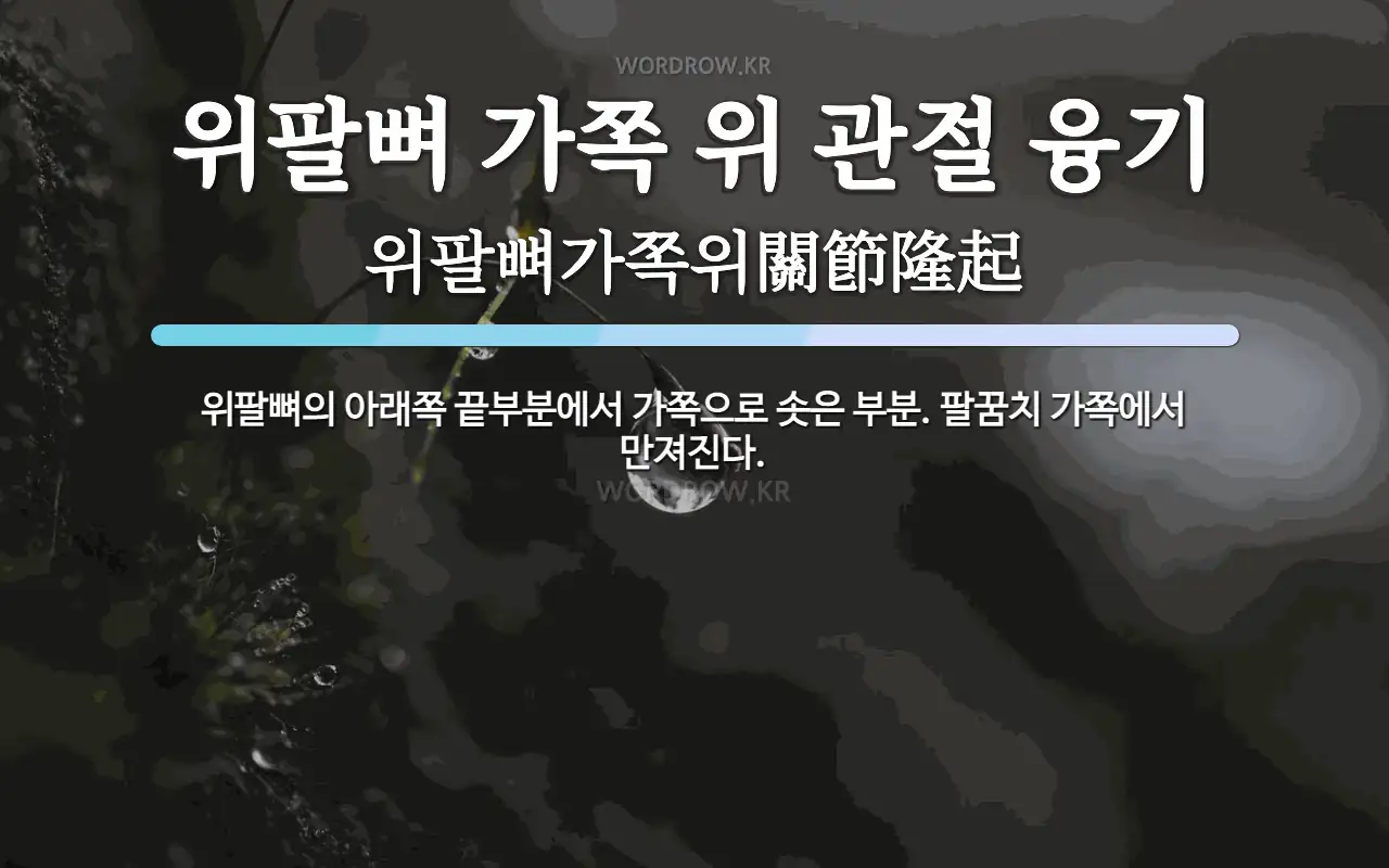 위팔뼈 가쪽 위 관절 융기 뜻 위팔뼈의 아래쪽 끝부분에서 가쪽으로 솟은 부분 팔꿈치 가쪽에서 만져진다