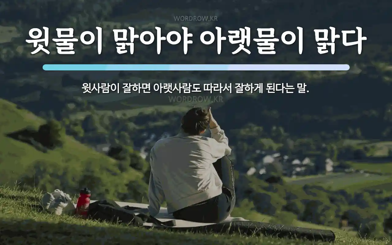 윗물이 맑아야 아랫물이 맑다 뜻 윗사람이 잘하면 아랫사람도 따라서 잘하게 된다는 말