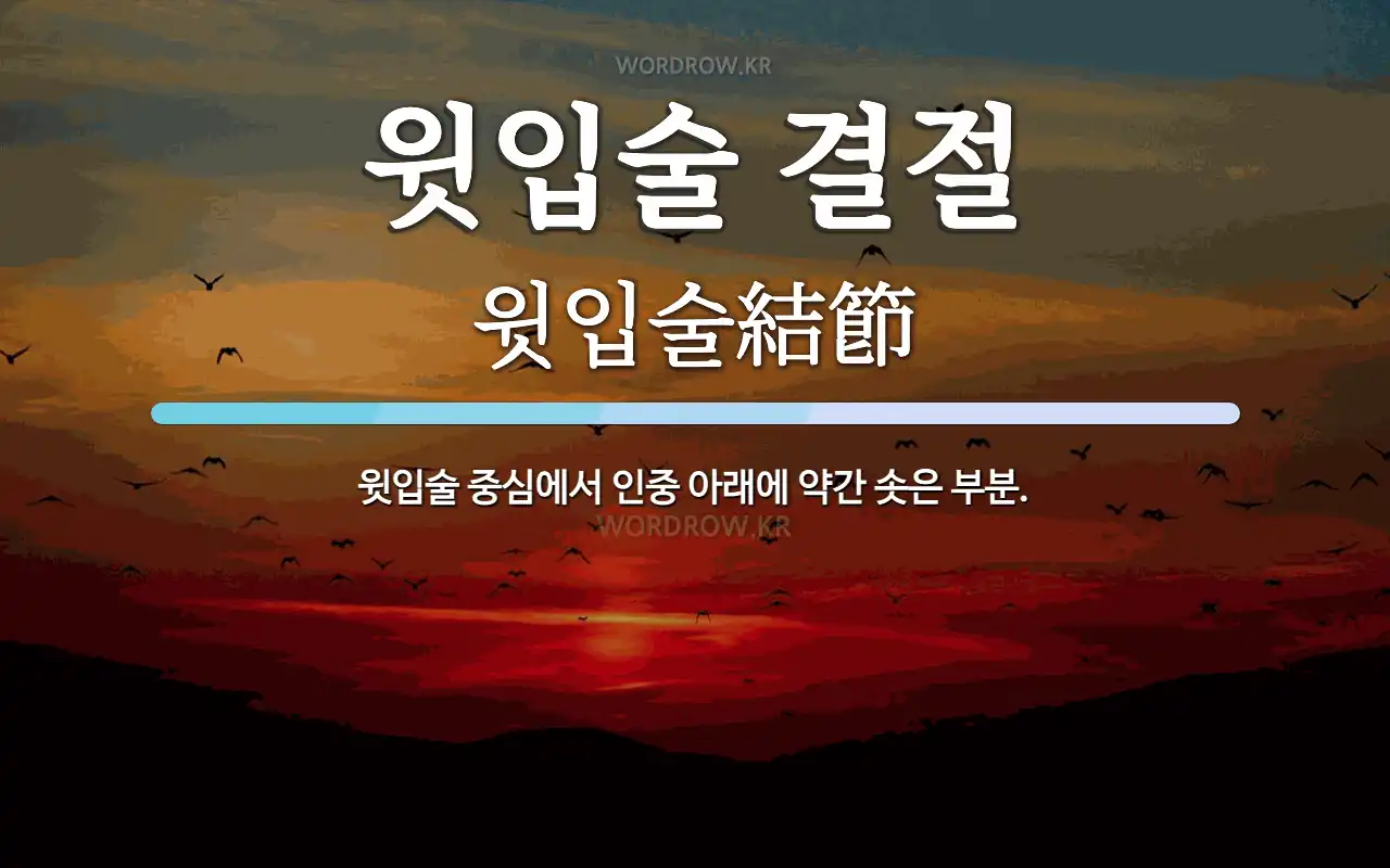 윗입술 결절 뜻 윗입술 중심에서 인중 아래에 약간 솟은 부분