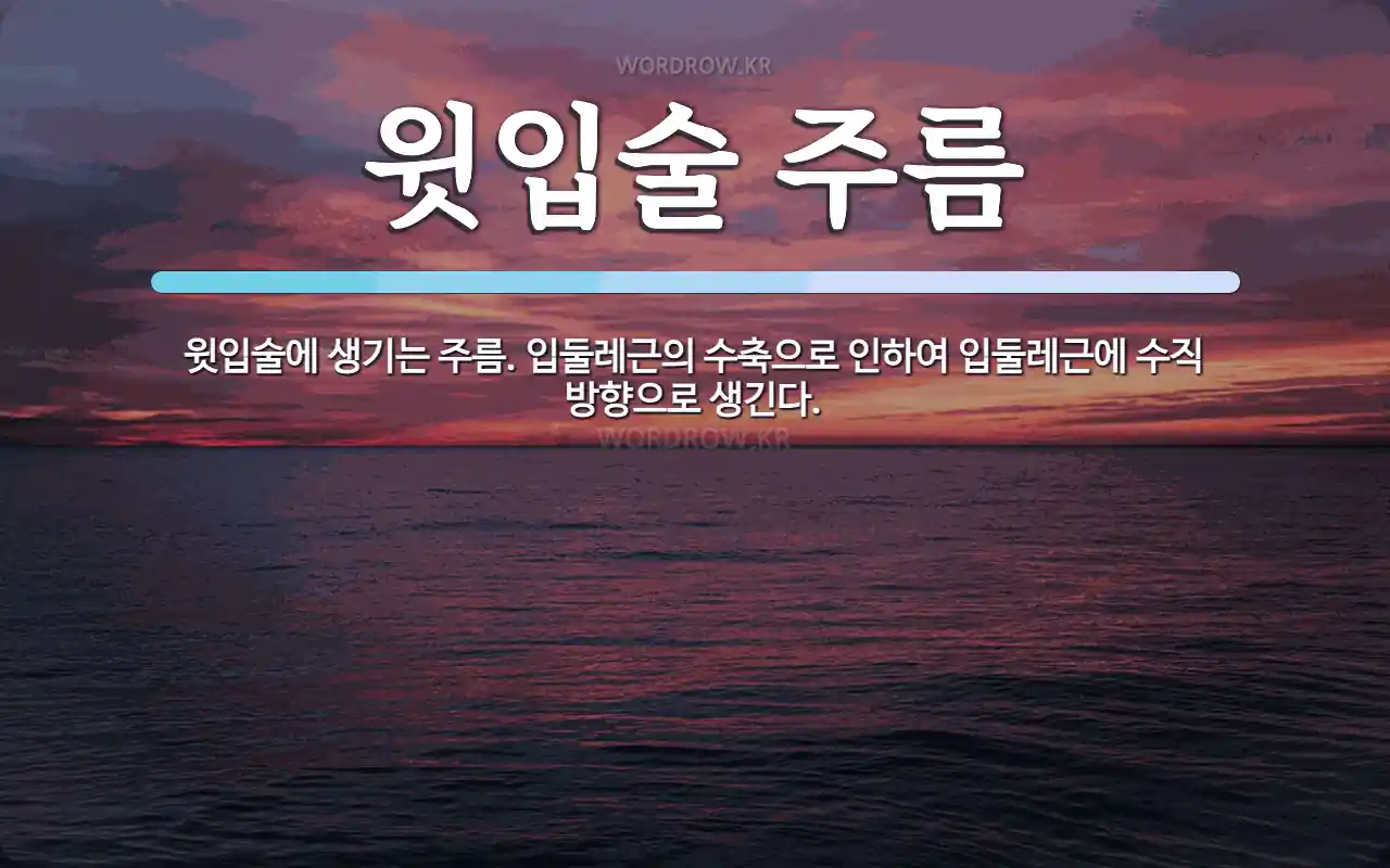 윗입술 주름 뜻 윗입술에 생기는 주름 입둘레근의 수축으로 인하여 입둘레근에 수직 방향으로 생긴다