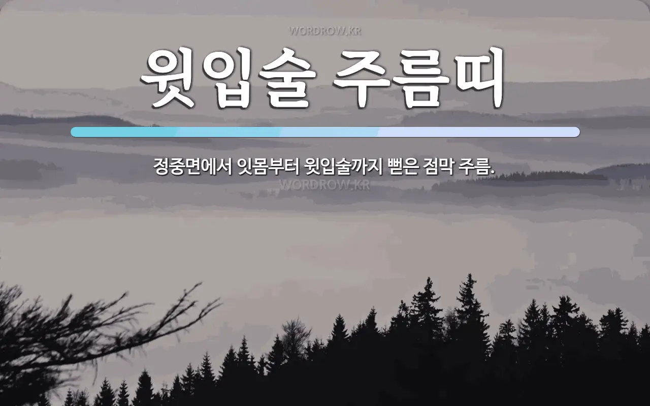윗입술 주름띠 뜻 정중면에서 잇몸부터 윗입술까지 뻗은 점막 주름