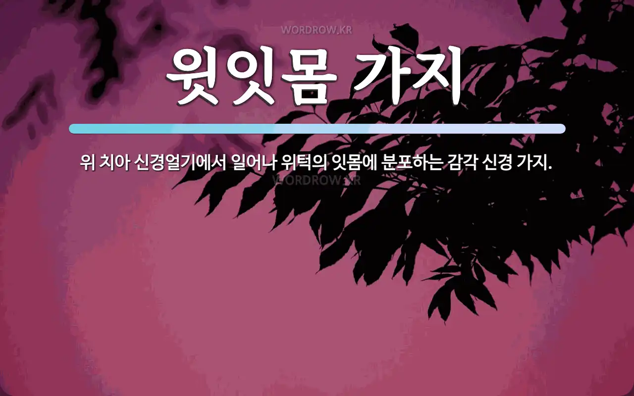 윗잇몸 가지 뜻 위 치아 신경얼기에서 일어나 위턱의 잇몸에 분포하는 감각 신경 가지