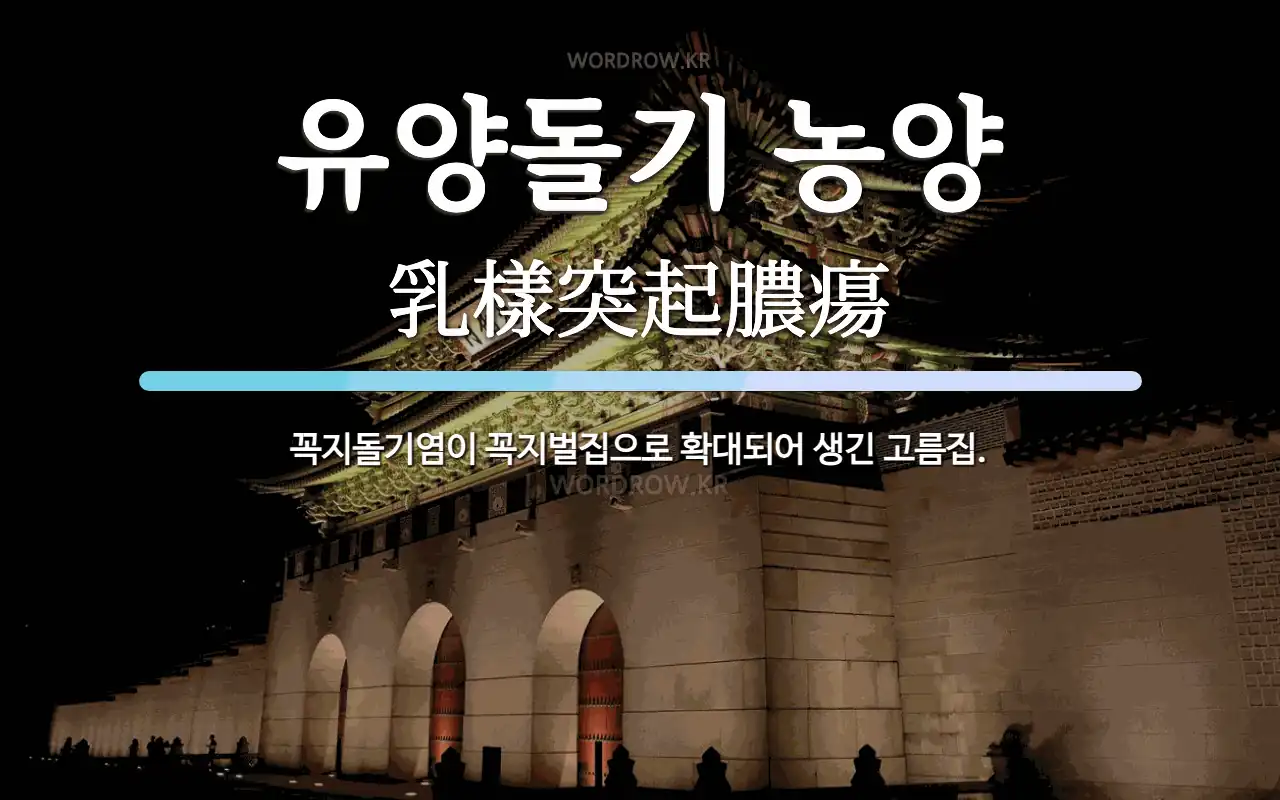 유양돌기 농양 뜻 꼭지돌기염이 꼭지벌집으로 확대되어 생긴 고름집