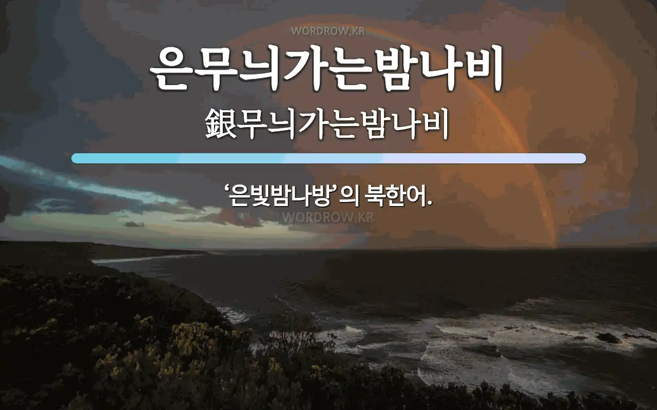 은무늬가는밤나비 뜻 ‘은빛밤나방의 북한어